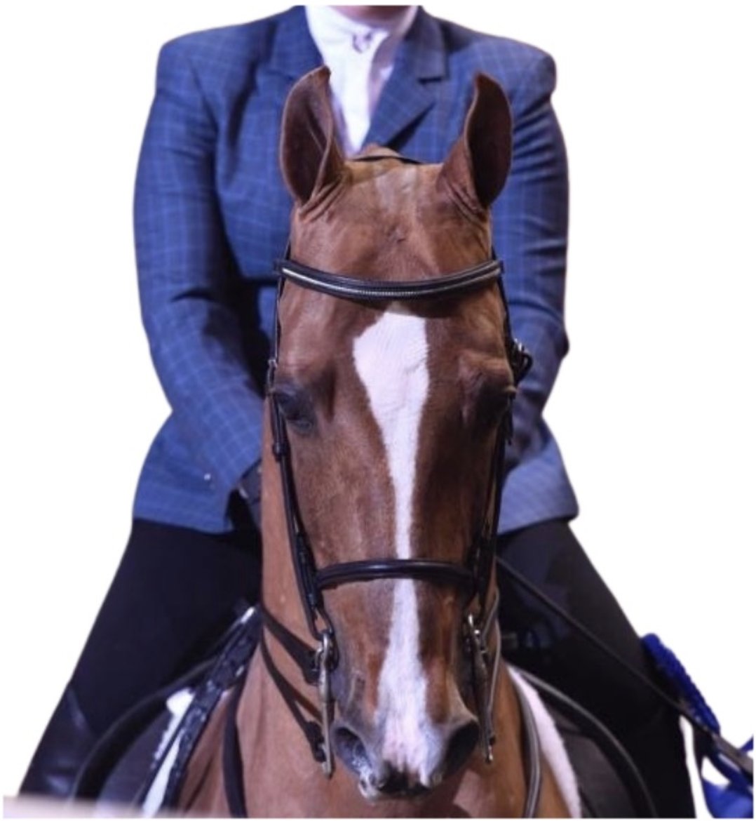 Saddle Seat Suits & Coats – The Patchwork Pony