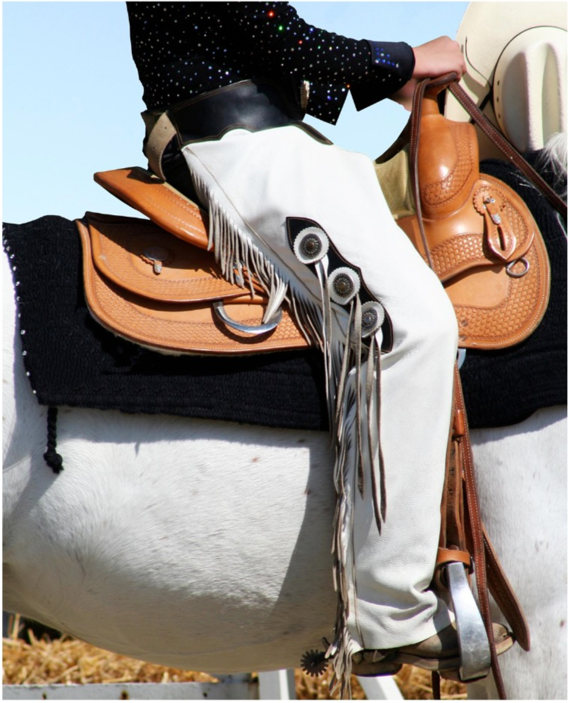 Shop High-Quality Consignment Riding Apparel & Accessories Saddleseats ...