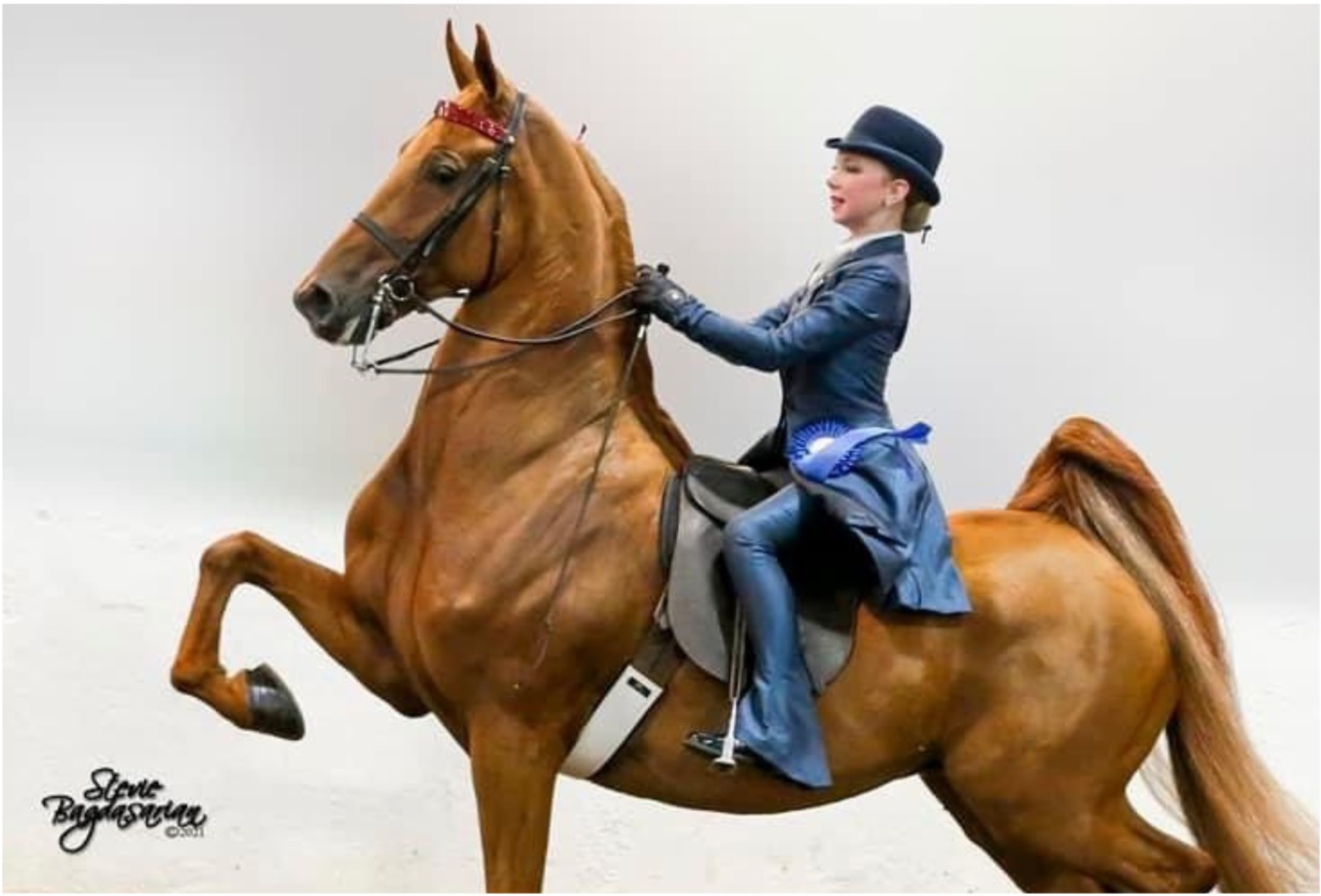 Shop High-Quality Consignment Riding Apparel & Accessories Saddleseats ...
